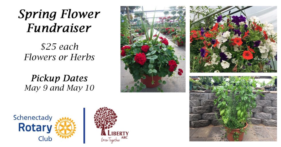 2025 Spring Flower Sale | The Rotary Club of Schenectady